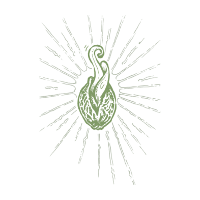 Soma's Sacred Seeds – Sacred and legendary award winning cannabis seeds ...